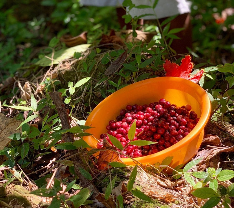 Our Coffee – Fiji Wild